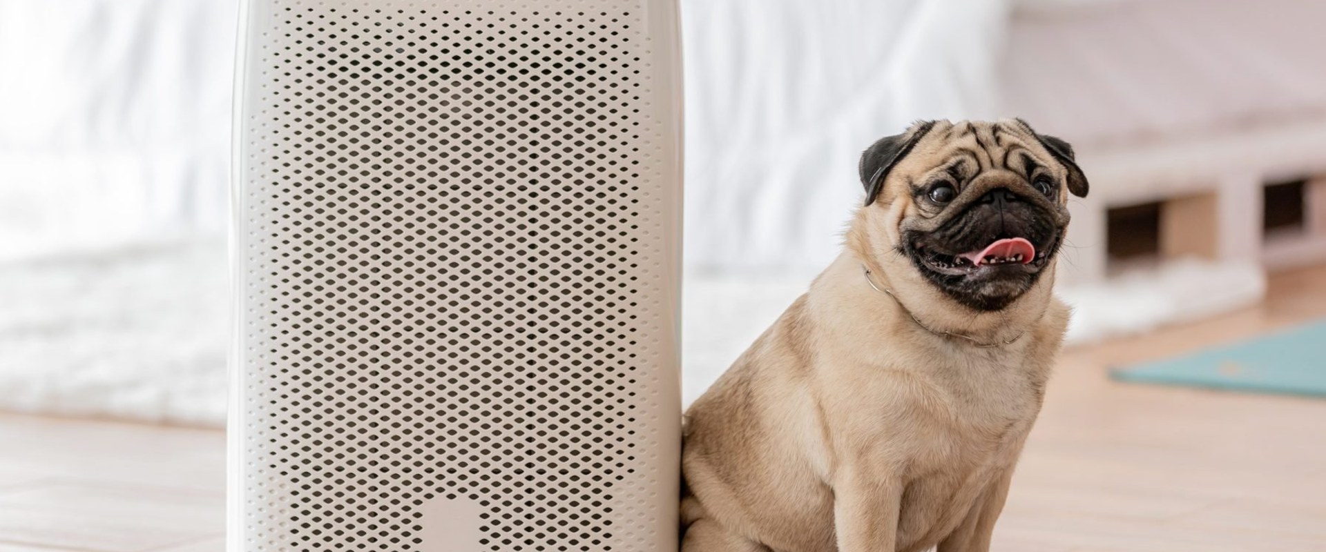 The Best Air Filter for Pet Owners: A Comprehensive Guide